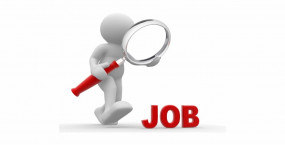 NIC JOB 2020: नेशनल इंफॉर्मेटिक्स सेंटर में नौकरी करने का मौका, इतने ...